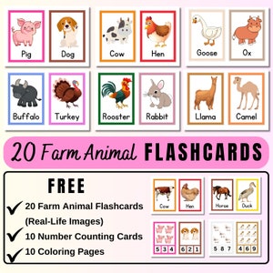 20 Farm Animal FLASH CARDS, Montessori Flashcards, Pre-school ...
