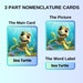 SEA ANIMALS 24 Montessori Cards, Printable Flash Cards for Kids ...