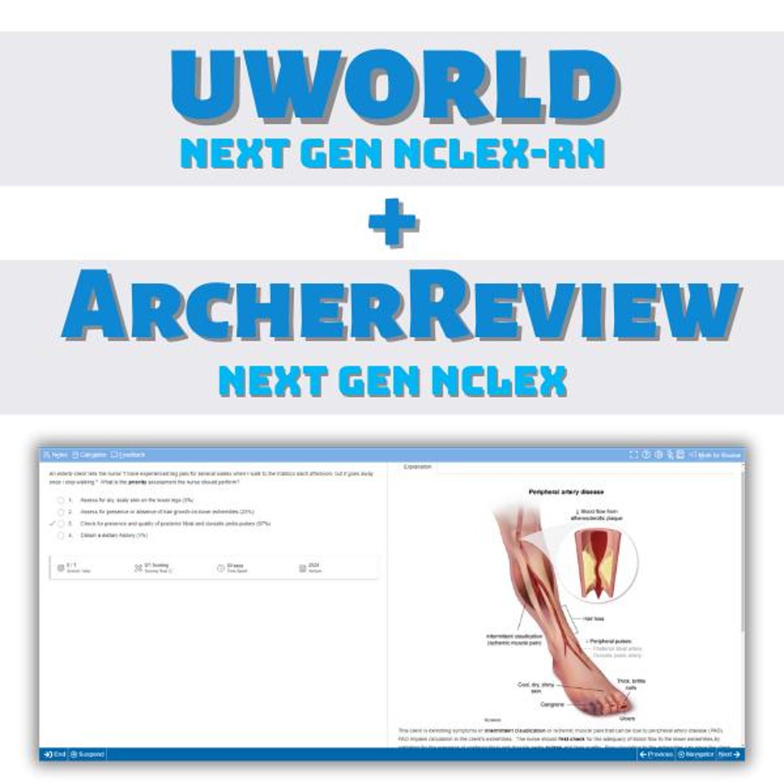 Archer Question Bank for Next Gen NCLEX-RN - Etsy