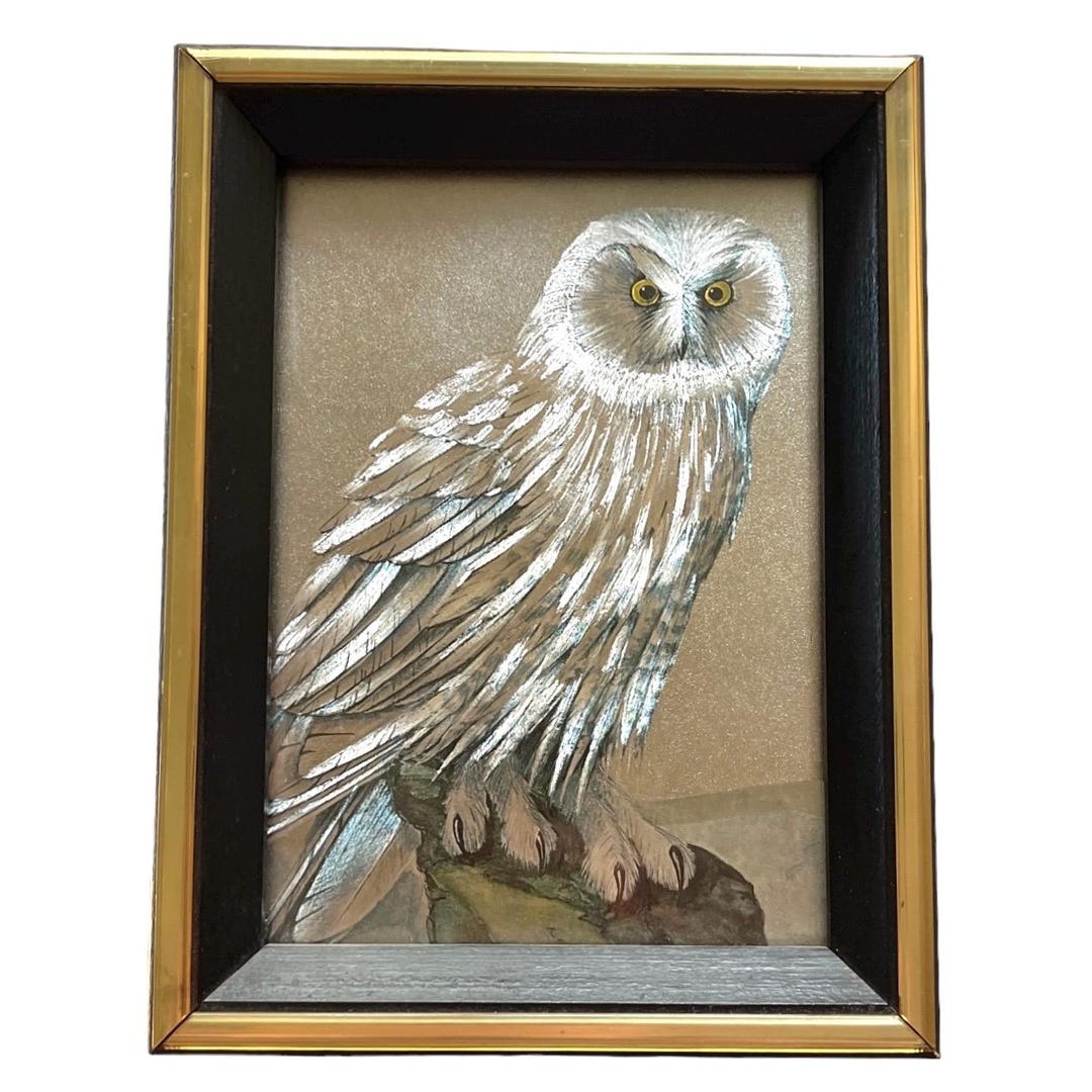 Vintage Snowy Owl Dufex Foil Art Print Washington Framed - Etsy