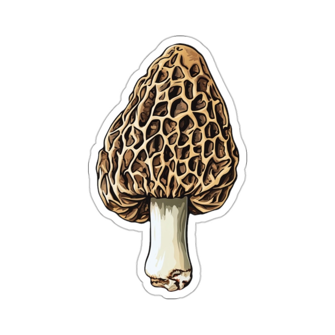 Mystical Morel Mushroom Sticker, Perfect for Nature Lovers, Hiking Gear ...