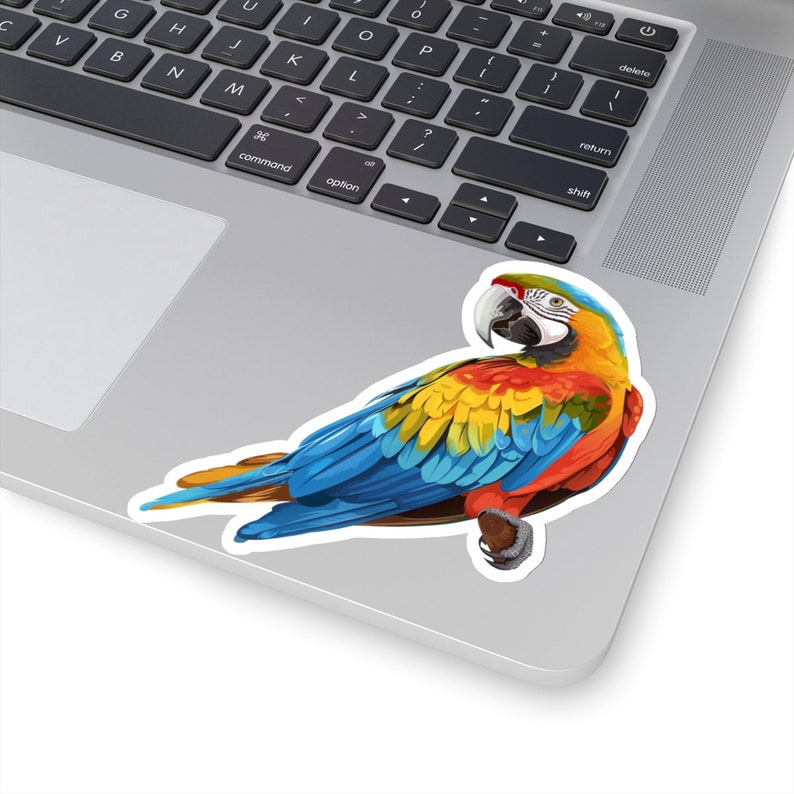 Parrot Perfection, Colorful Bird Sticker, Jungle Vibes, Laptop & Water ...
