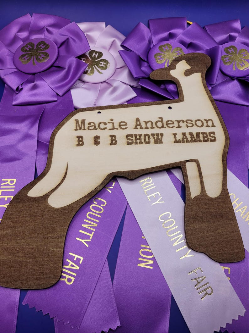 Custom Lamb Show Stall Sign: Laser Engraved Wood, Personalized - Etsy