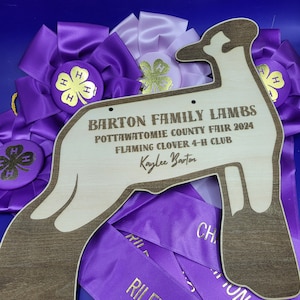 Custom Lamb Show Stall Sign: Laser Engraved Wood, Personalized - Etsy