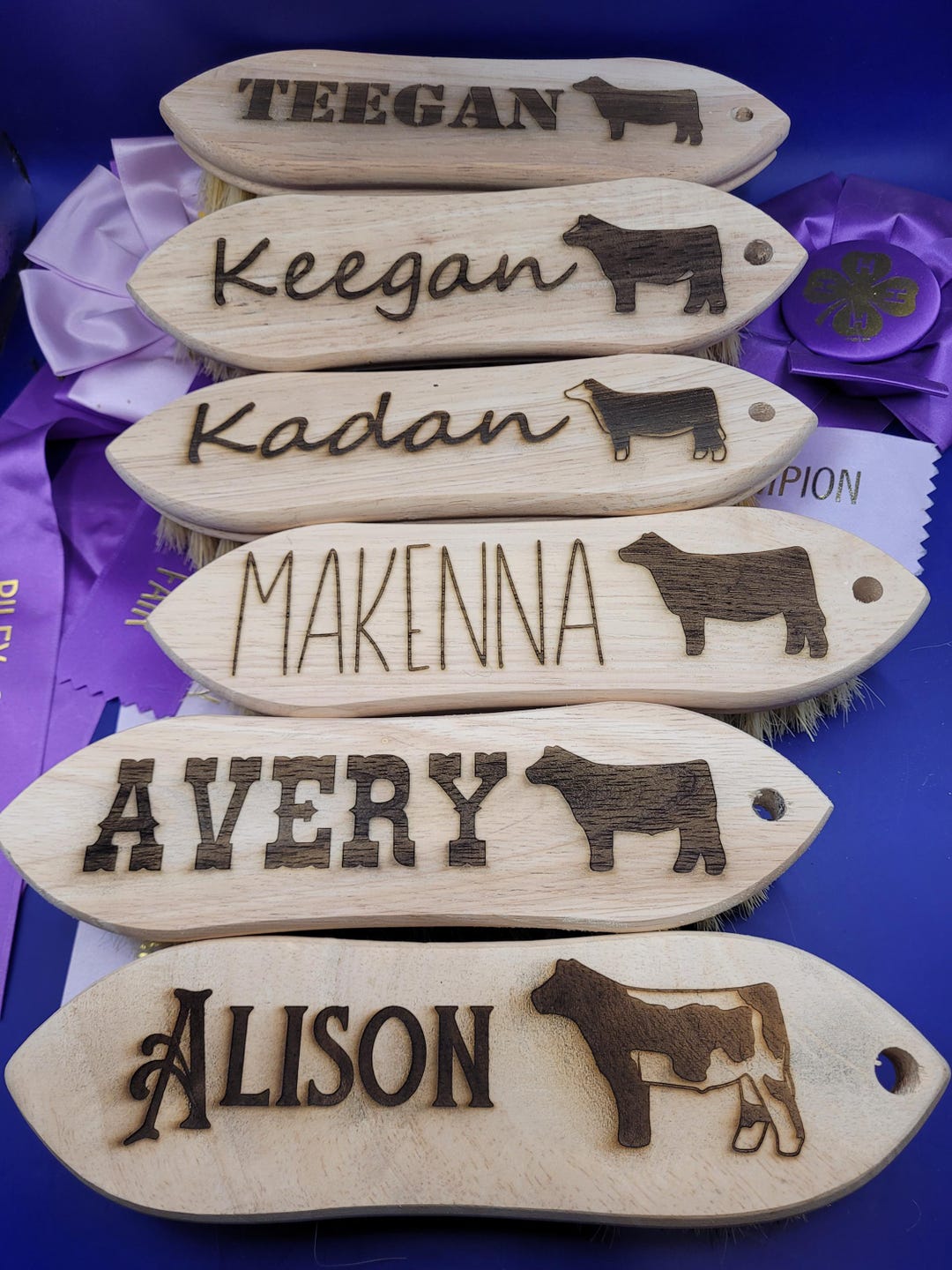 Custom Engraved Show Cattle Brushes: Personalized With Breed & Name ...