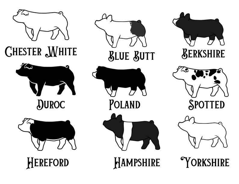 Show Mom Gift, Custom Pig Hair Claw Clips, Personalize W/ Font ...