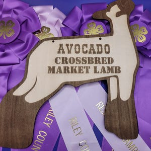 Custom Lamb Show Stall Sign: Laser Engraved Wood, Personalized - Etsy