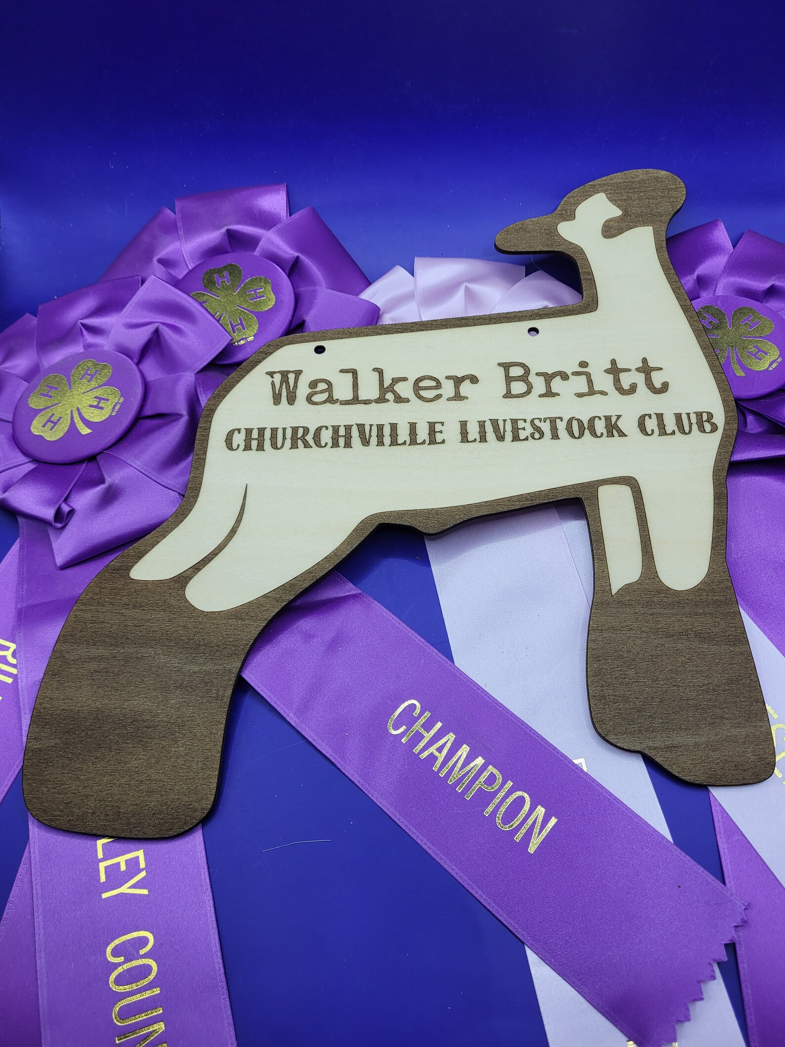 Custom Lamb Show Stall Sign: Laser Engraved Wood, Personalized - Etsy