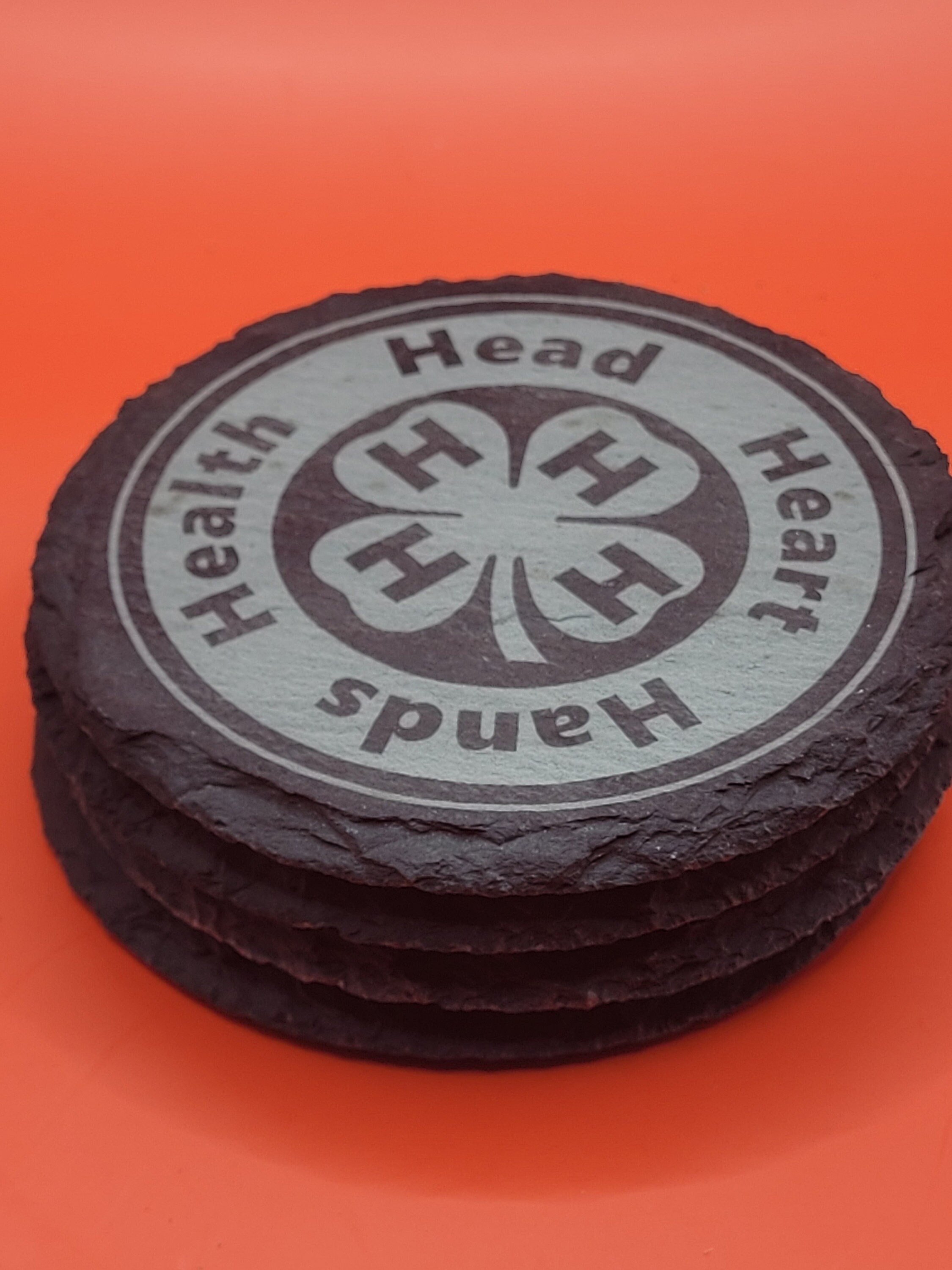 4-H Gift Set, Round Clover Slate Coaster Set 4, Gift for Buyer, 4H ...