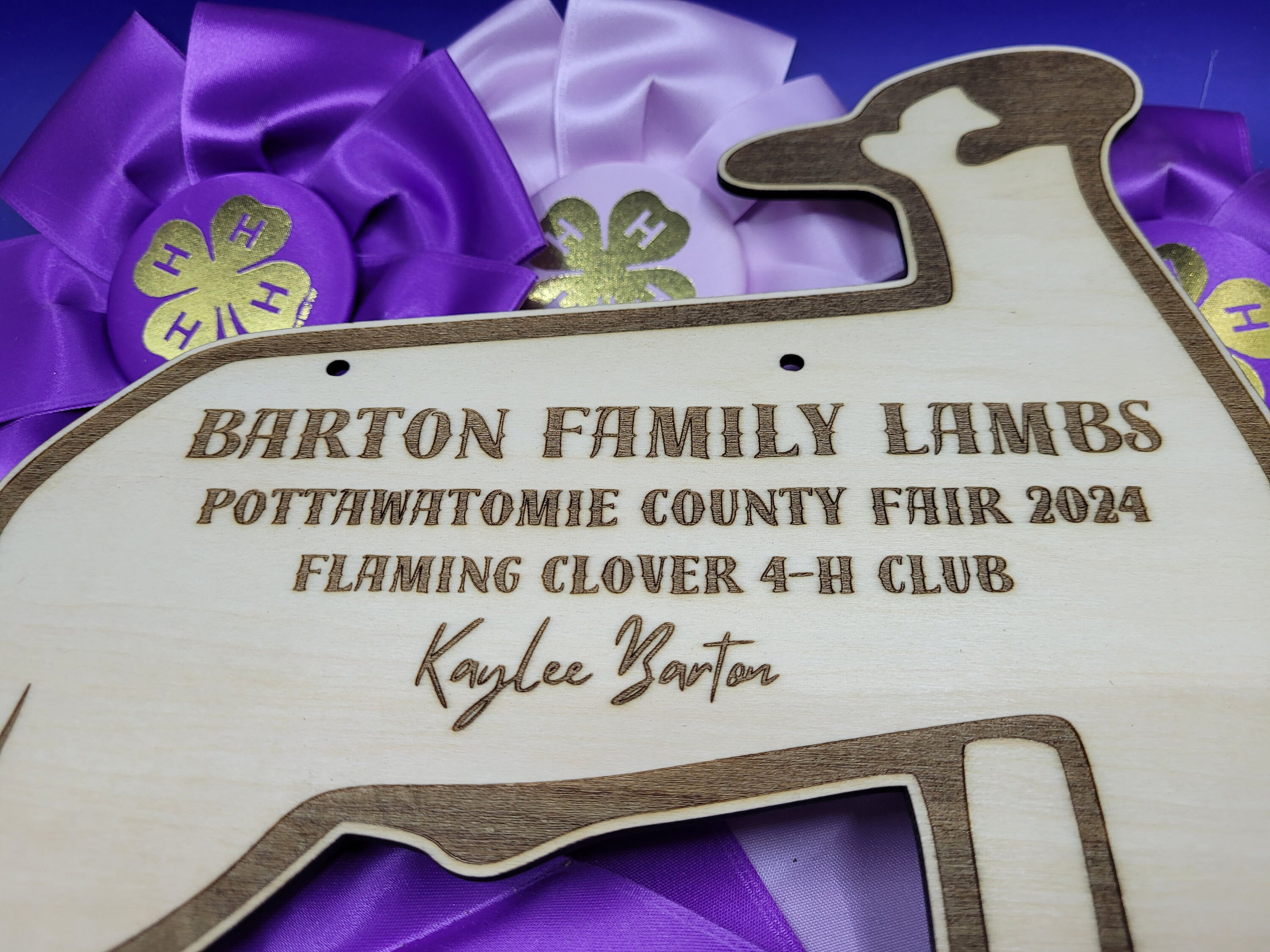 Custom Lamb Show Stall Sign: Laser Engraved Wood, Personalized - Etsy
