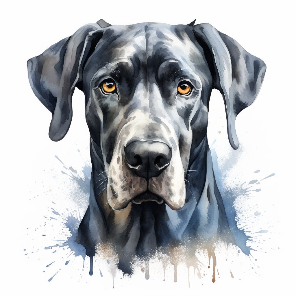 Great Dane Watercolor Design, Digital Product. - Etsy