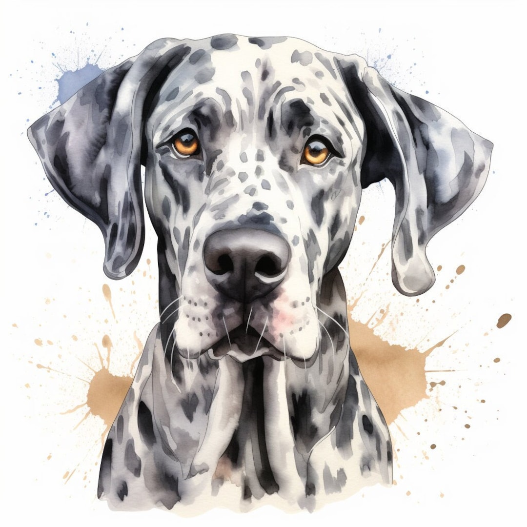 Great Dane Watercolor Design Digital Product. - Etsy