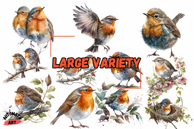 Transparent Watercolor Robins Clipart Bundle, High Quality Instant ...