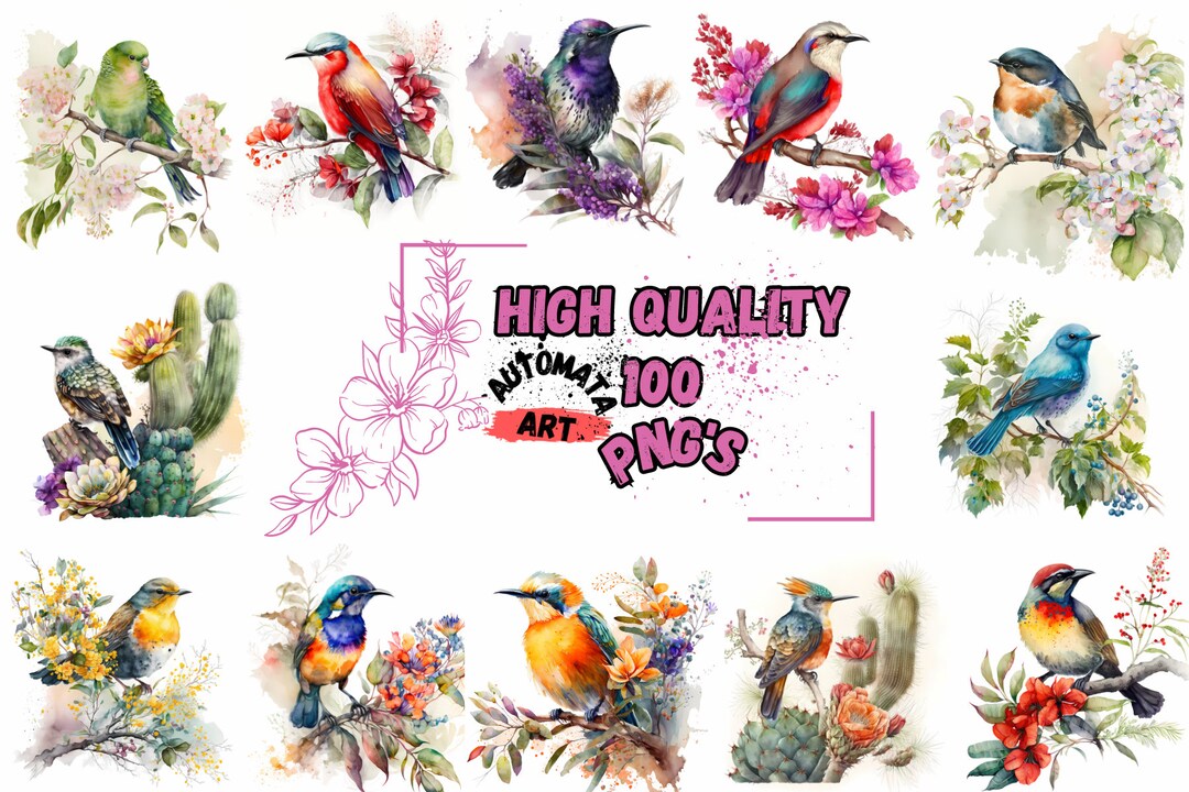 100 Colorful Watercolor Birds Clipart, High Quality Instant Download ...
