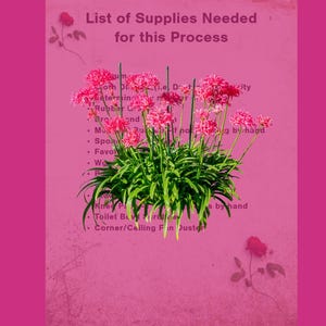 Printable Cleaning Checklist Bundle | Weekly Monthly Cleaning Schedule ...
