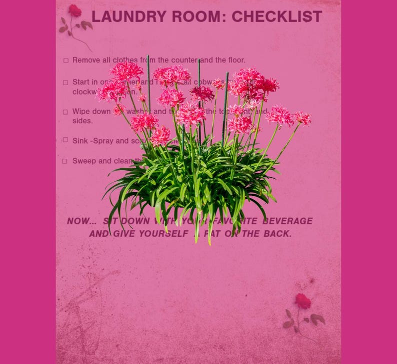 Printable Cleaning Checklist Bundle | Weekly Monthly Cleaning Schedule ...