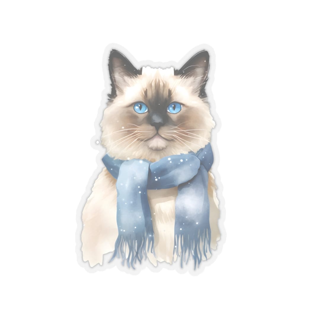 Ragdoll Cat Sticker Transparent or White Kiss Cut Ragdoll Sticker Cat ...