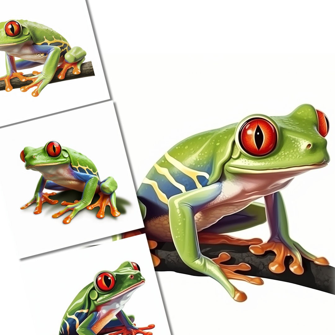 Frogs, Realistic Frog PNG, Commercial Use, Digital Download - Etsy