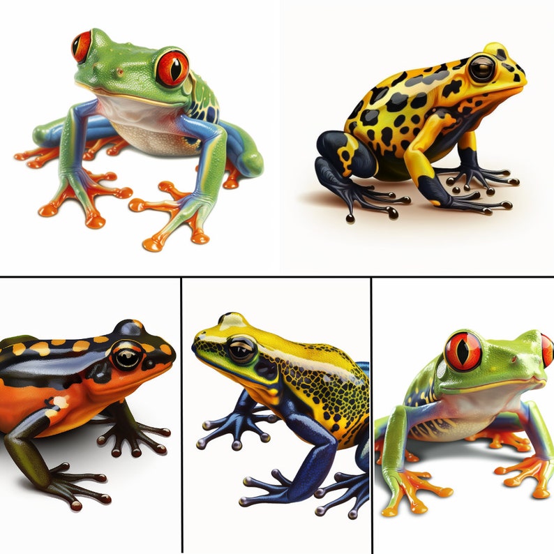 Frogs Realistic Frog PNG Commercial Use Digital Download - Etsy