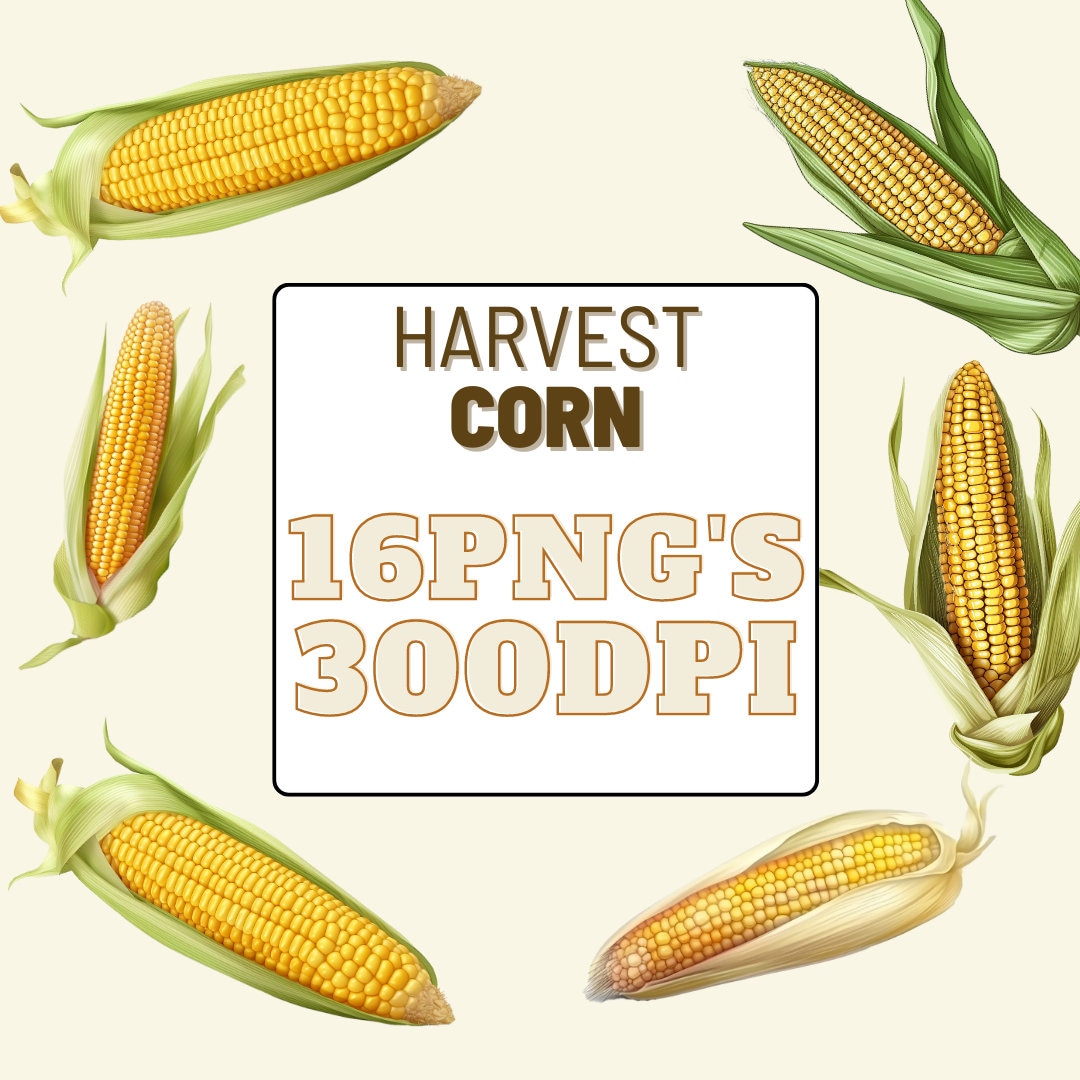 Corn, Harvest Corn, Clip Art, PNG, Commercial Use - Etsy