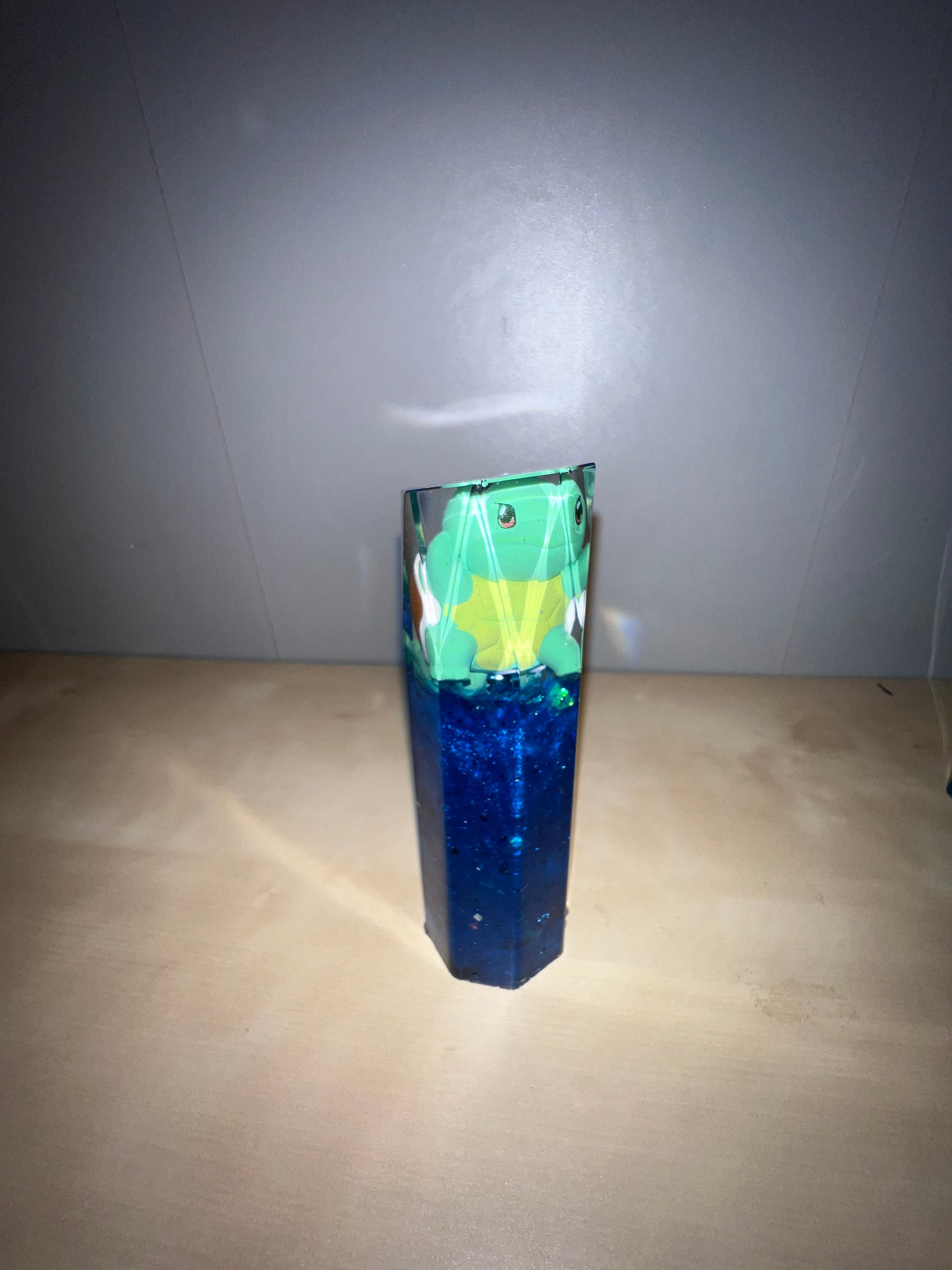 Pokémon Shifters / Custom Shifters - Etsy