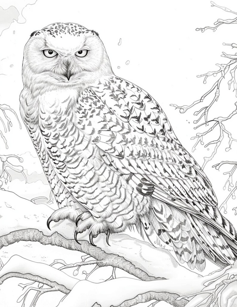 Wildlife Coloring Book Printable Animal Coloring Sheets Vibrant ...