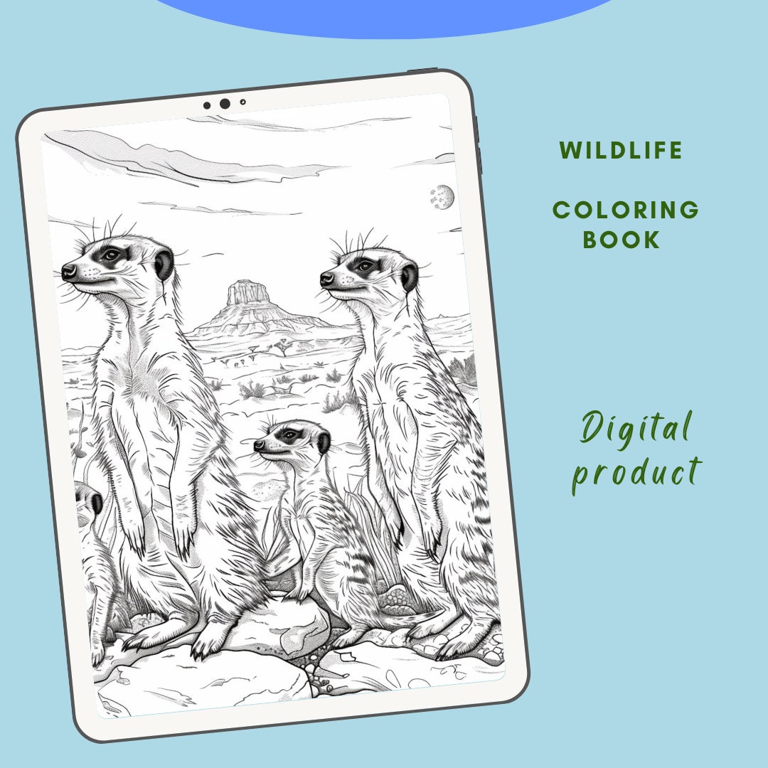 Wildlife Coloring Book Printable Animal Coloring Sheets Vibrant ...