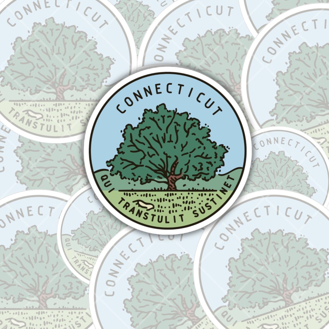 Connecticut State Sticker: Weatherproof Vinyl Decal for Laptop or Water ...