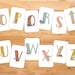 Printable Alphabet Flash Cards 2 SETS Animal Alphabet Flashcards ...