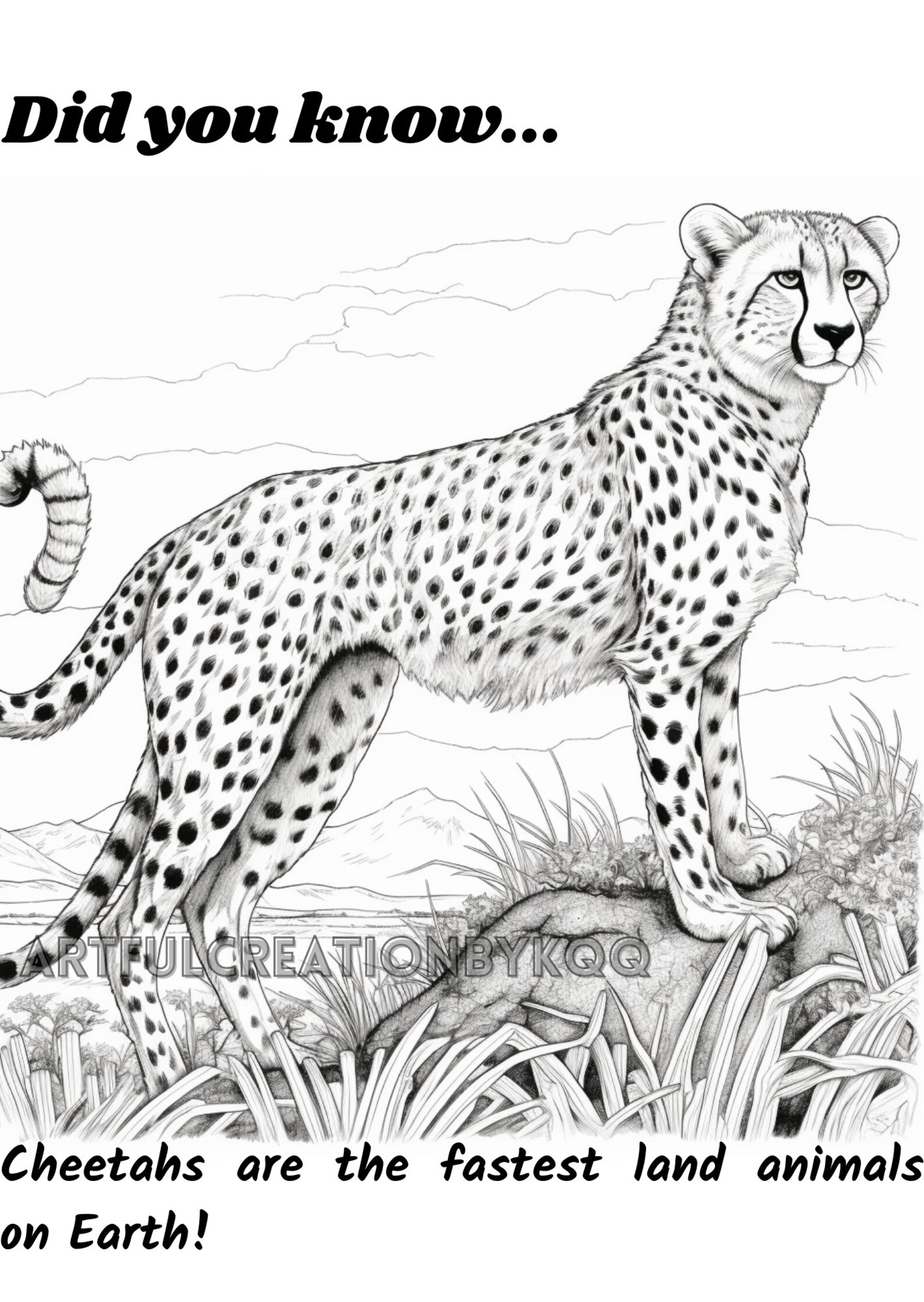 Printable Animal Colouring Pages With Facts for Children - Etsy