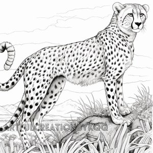 Printable Animal Colouring Pages With Facts for Children - Etsy