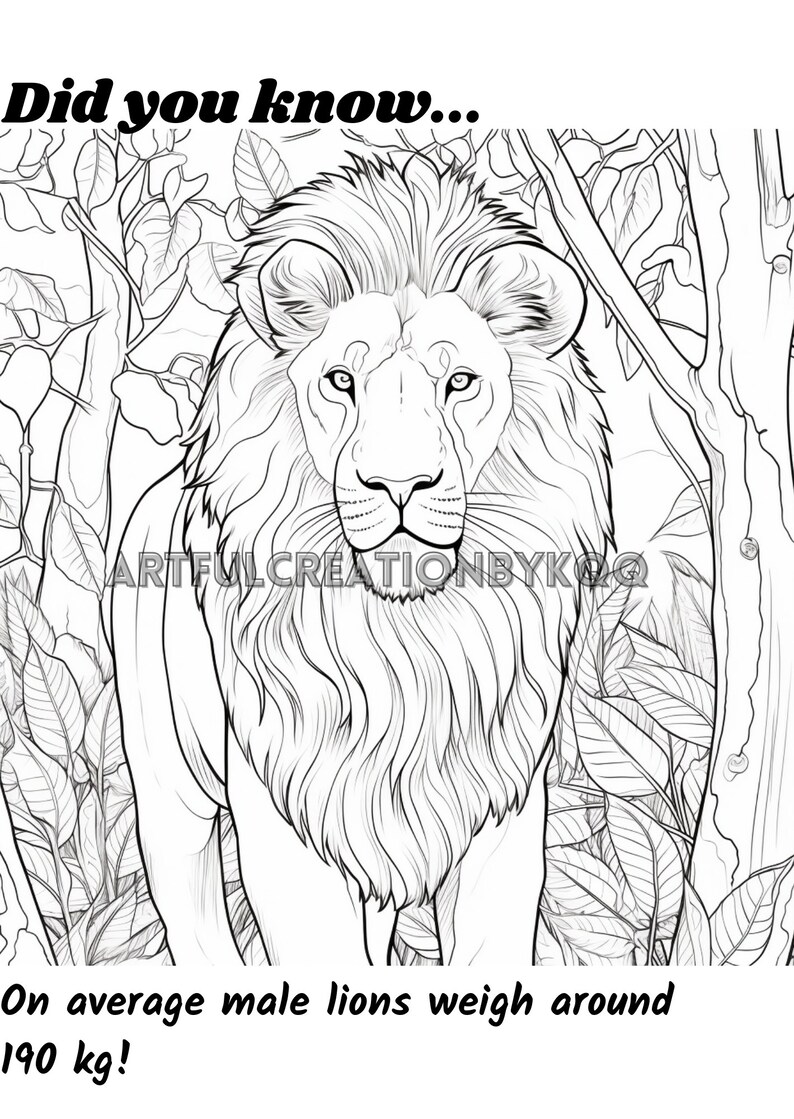 Printable Animal Colouring Pages With Facts for Children - Etsy