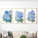 Watercolor Light Blue Hydrangea Set for Modern Homes, Minimalist ...