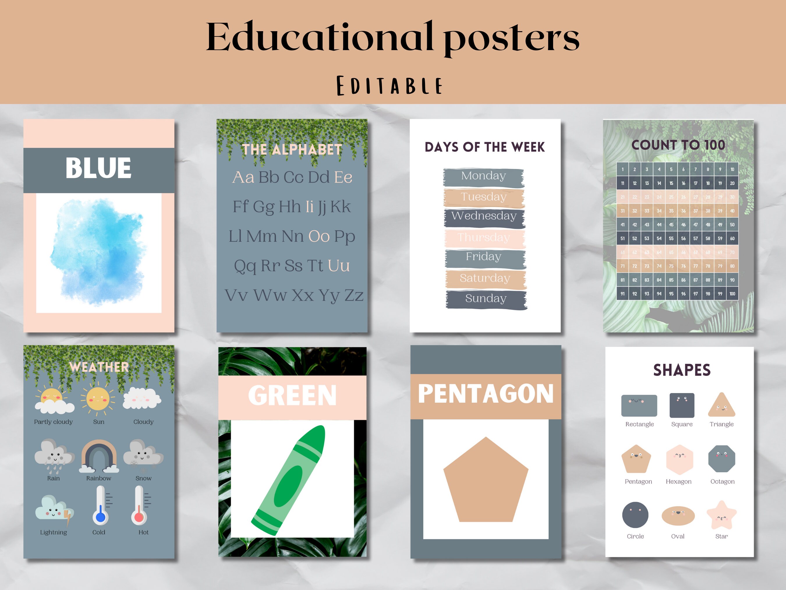 Educational Posters for a Clam Plant Themed Classroom | Classroom Decor ...