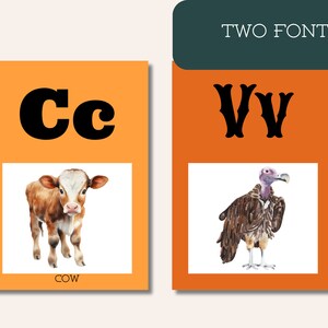 Editable Alphabet Posters for a Western Themed Classroom | Classroom ...