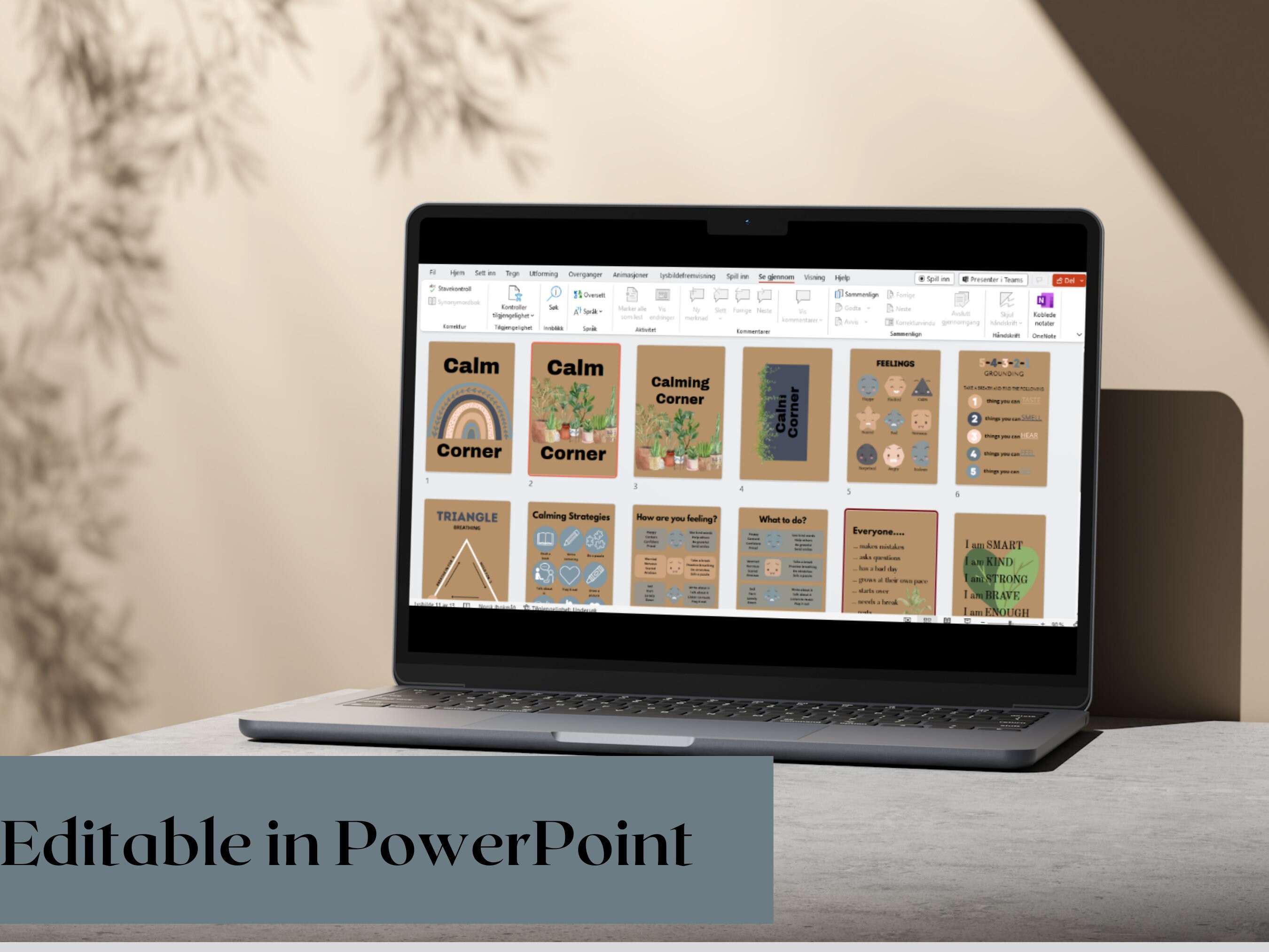 Calming Corner for a Plant Themed Classroom - Etsy