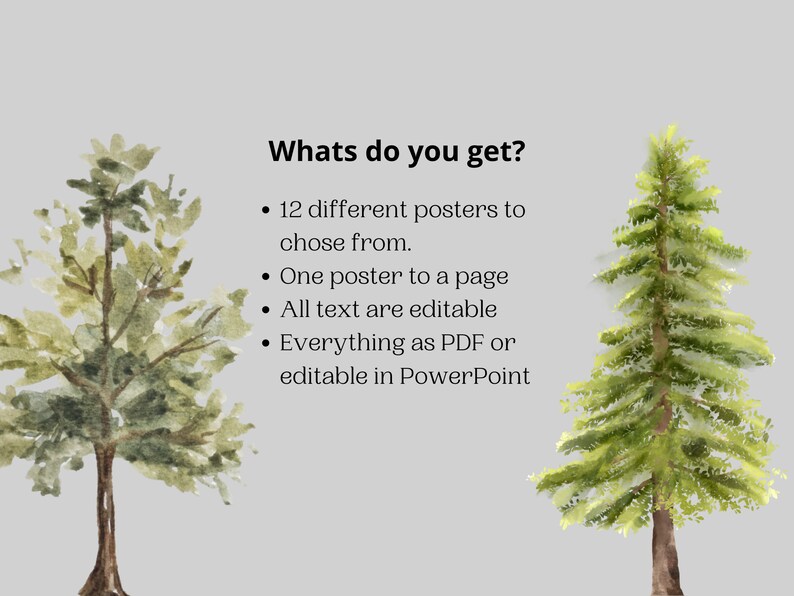 Calming Corner Printable Posters for a Forest Themed Classroom - Etsy