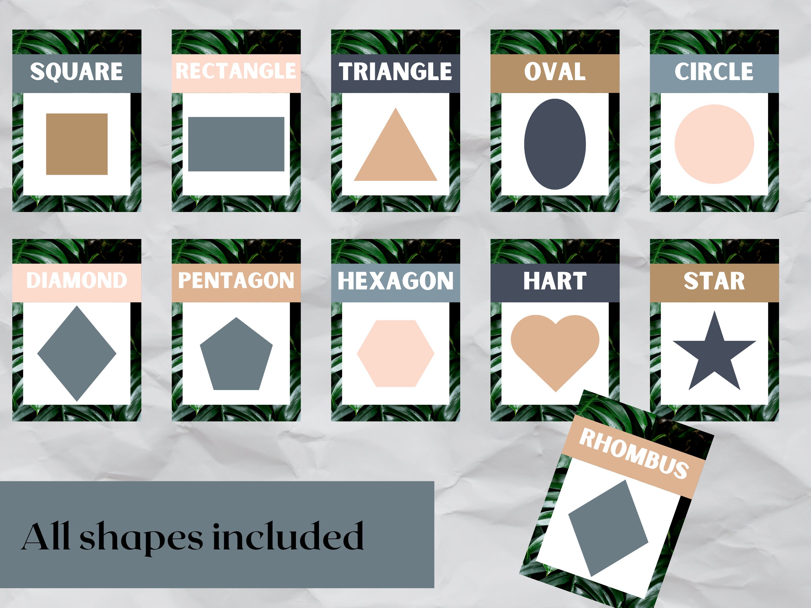 Educational Posters for a Clam Plant Themed Classroom | Classroom Decor ...