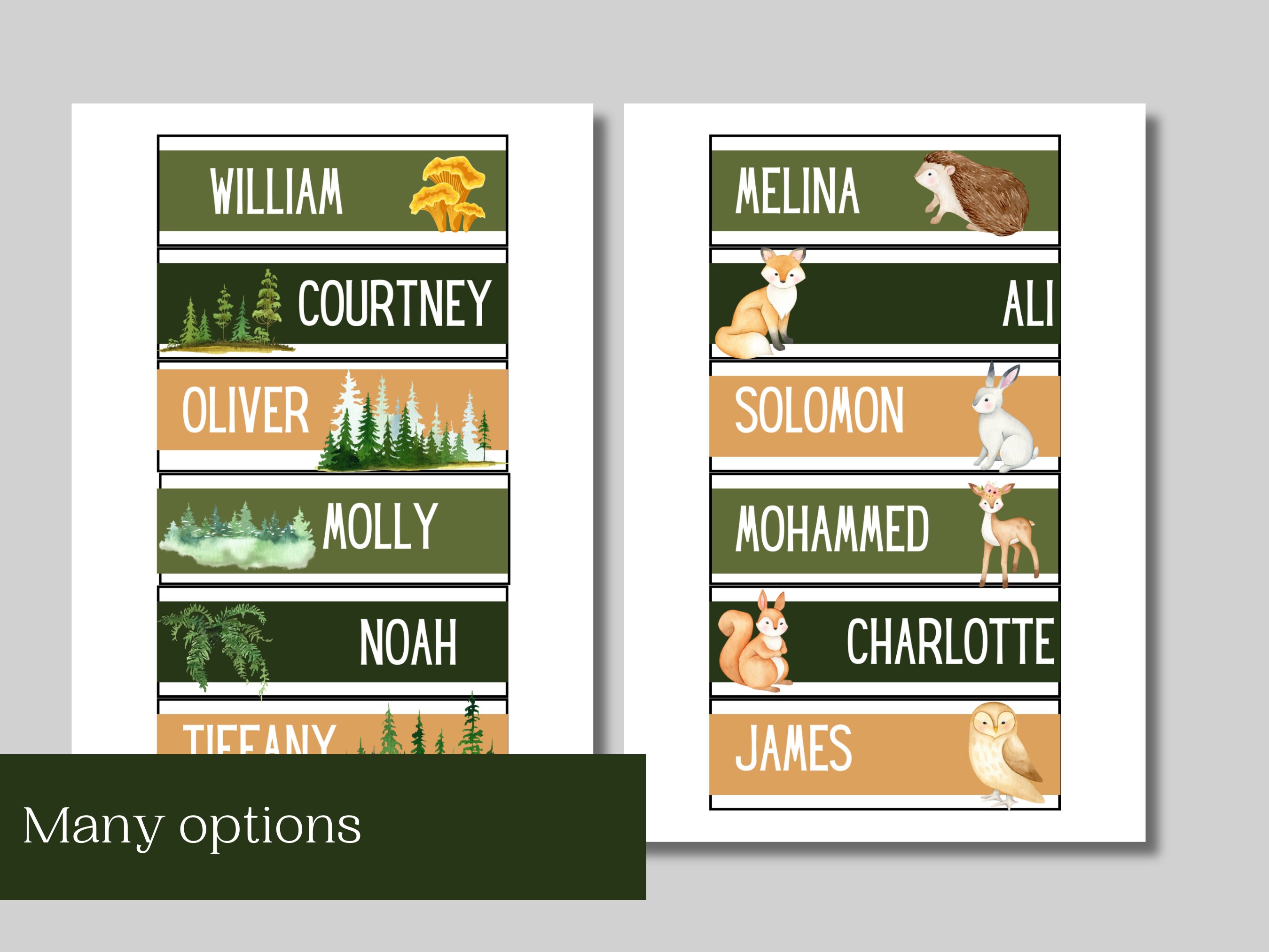 Forest Classroom Desk Plates & Name Tags - Out of the Woods - Etsy