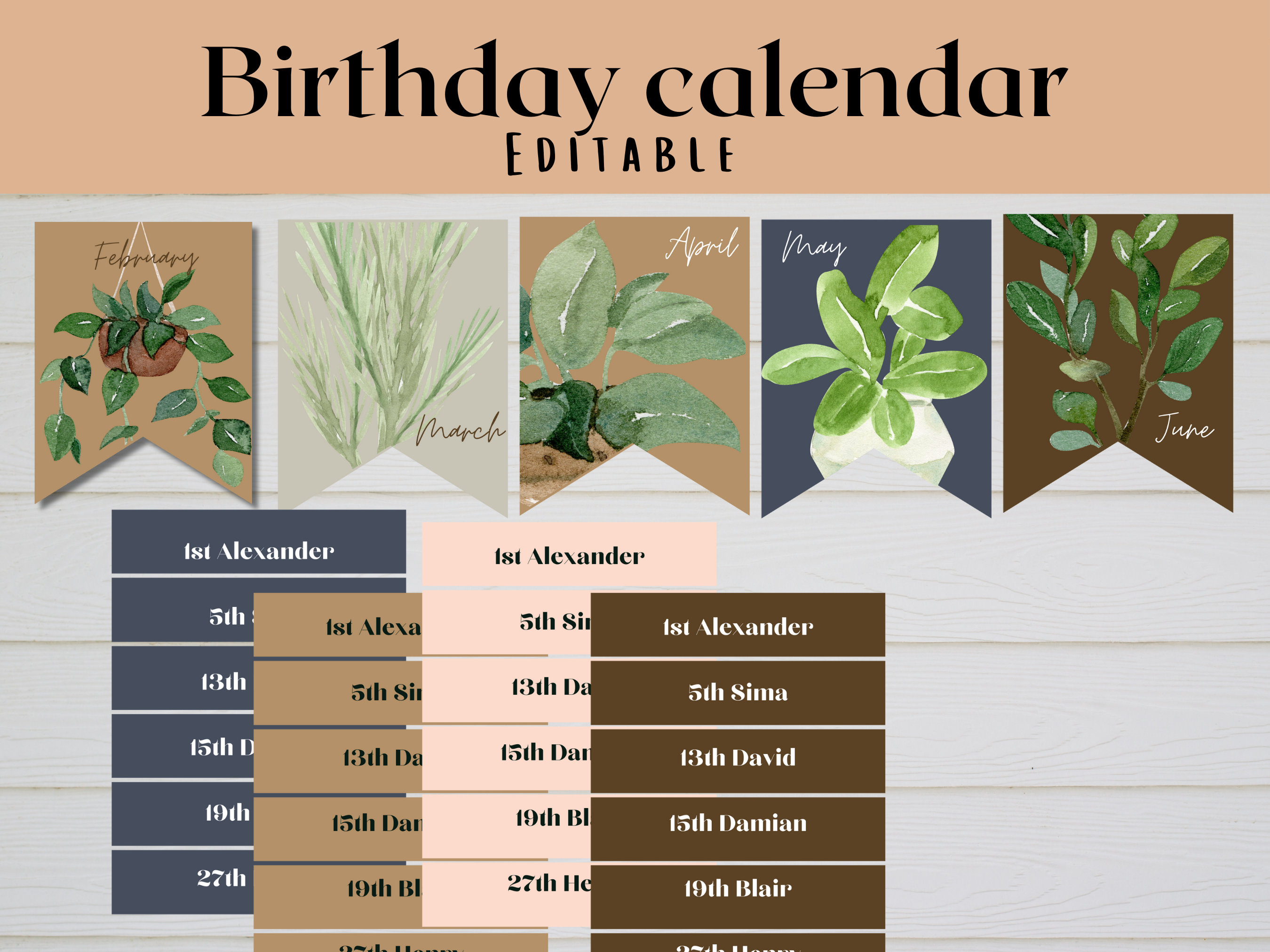 Boho Plants Calm Classroom Decor Bundle |plants Please | Serene ...