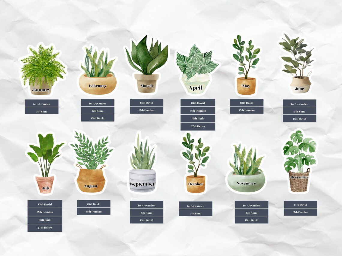Boho Plants Calm Classroom Decor Bundle |plants Please | Serene ...