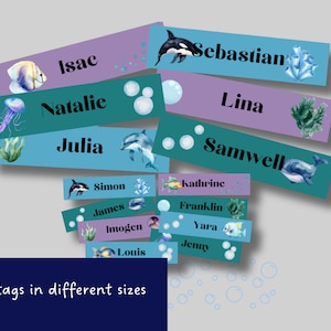 Desk Plates and Name Tags With an Ocean Theme | Classroom Decor | Into ...