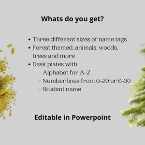 Forest Classroom Desk Plates & Name Tags - Out of the Woods - Etsy