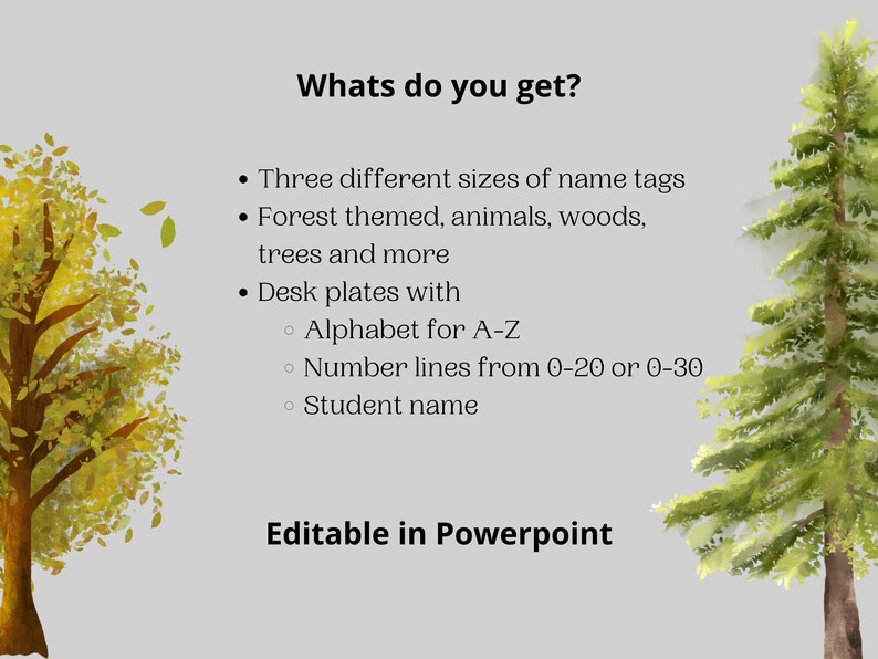 Forest Classroom Desk Plates & Name Tags - Out of the Woods - Etsy