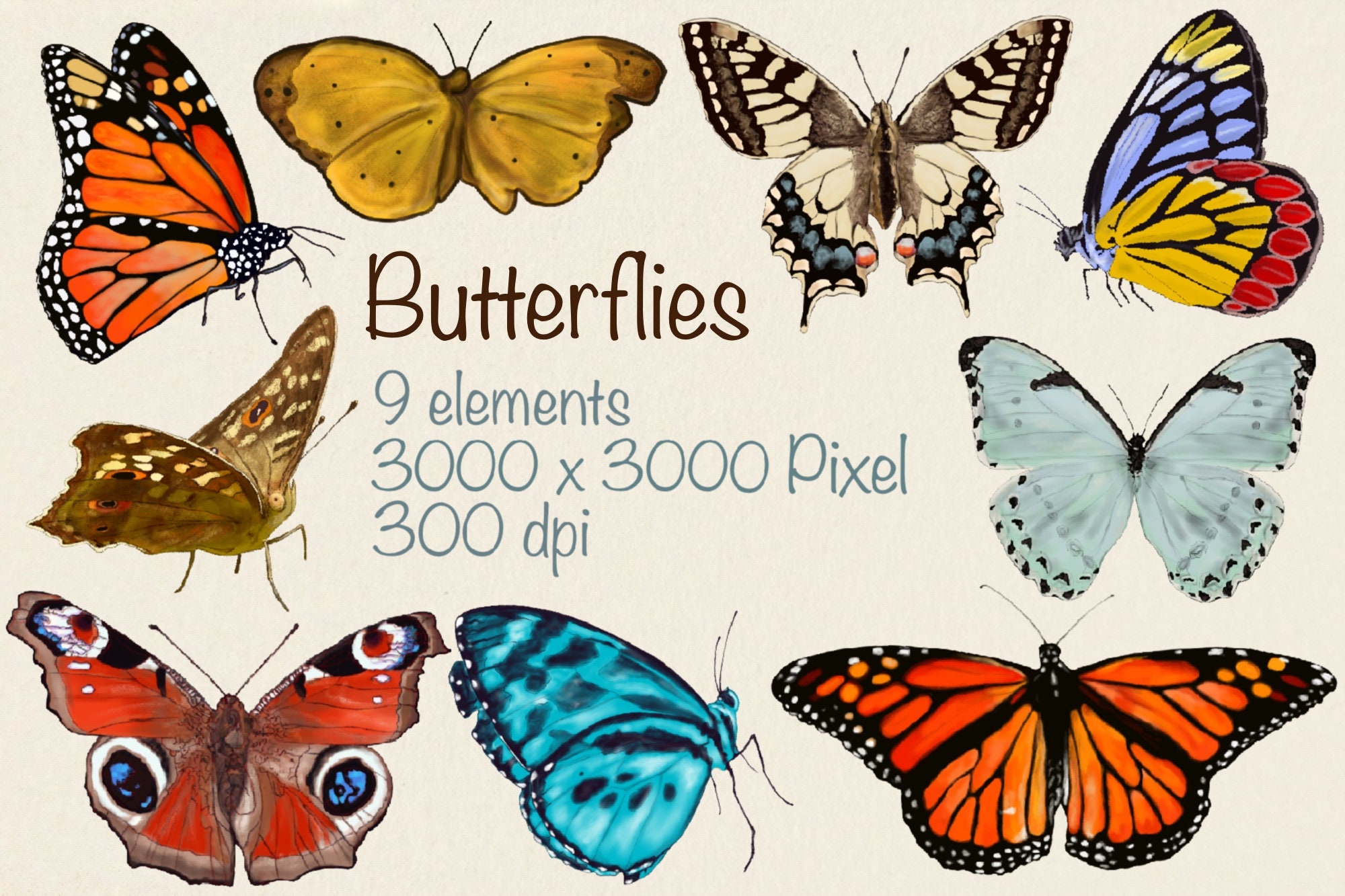 Hand Drawn Realistic Butterfly Clipart, Monarch Butterfly PNG ...