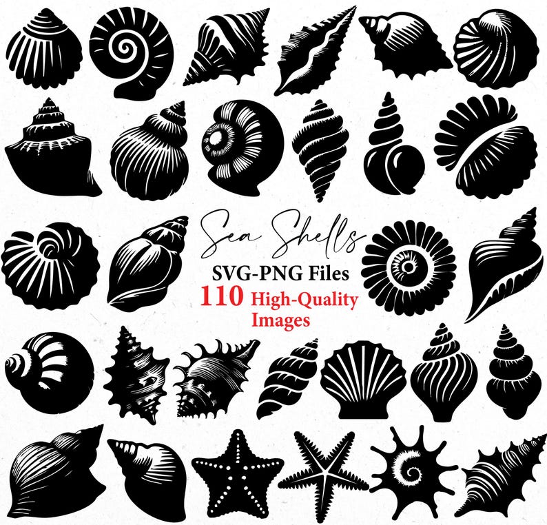 Seashells Svg, Shell Svg, Seashell Clipart, Summer Svg, Ocean Svg ...