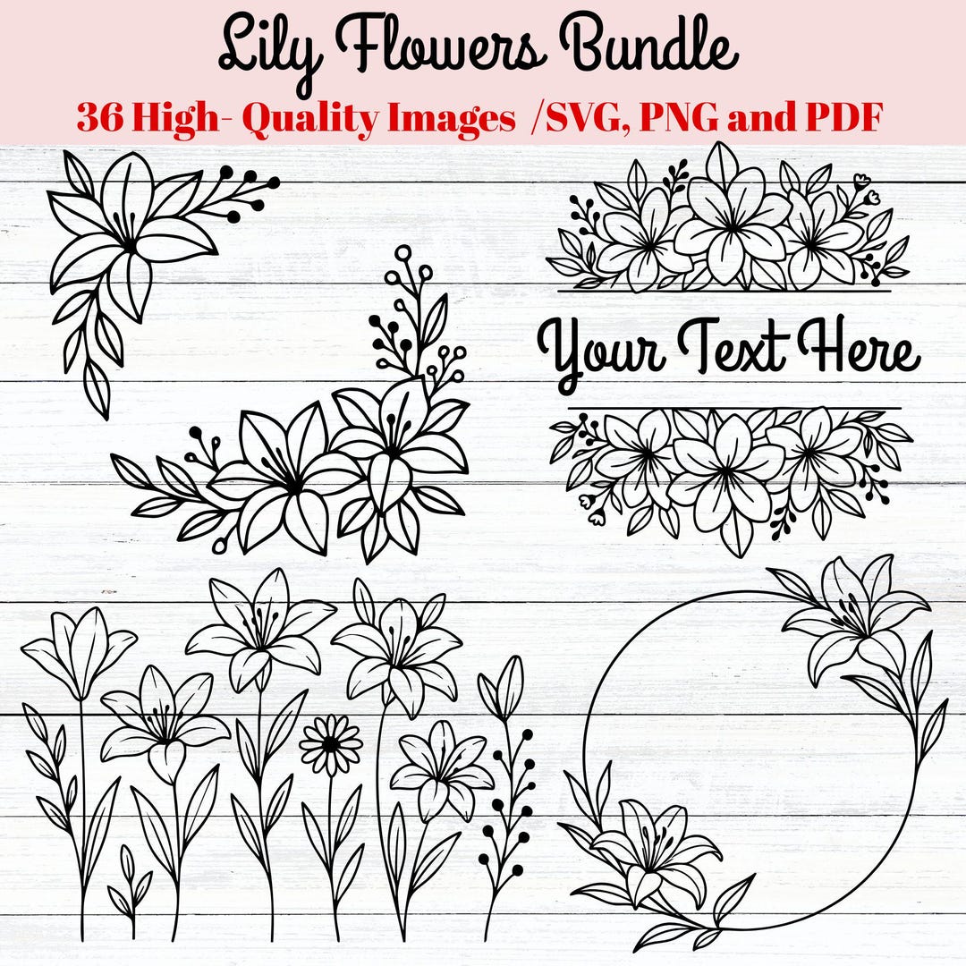 Lily Flowers SVG Bundle, Floral SVG Cut Files, Lily Outline Flowers for ...