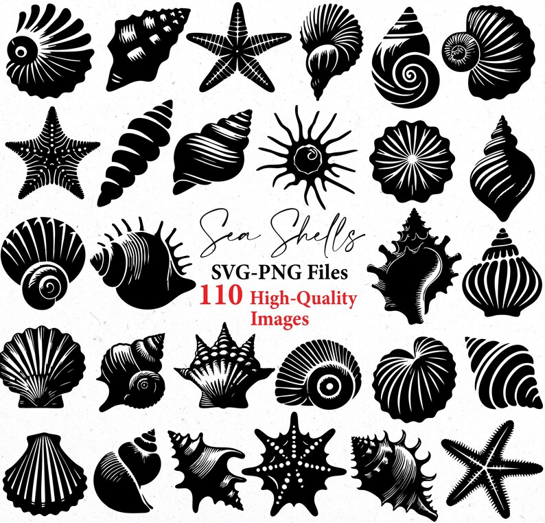 Seashells Svg, Shell Svg, Seashell Clipart, Summer Svg, Ocean Svg ...