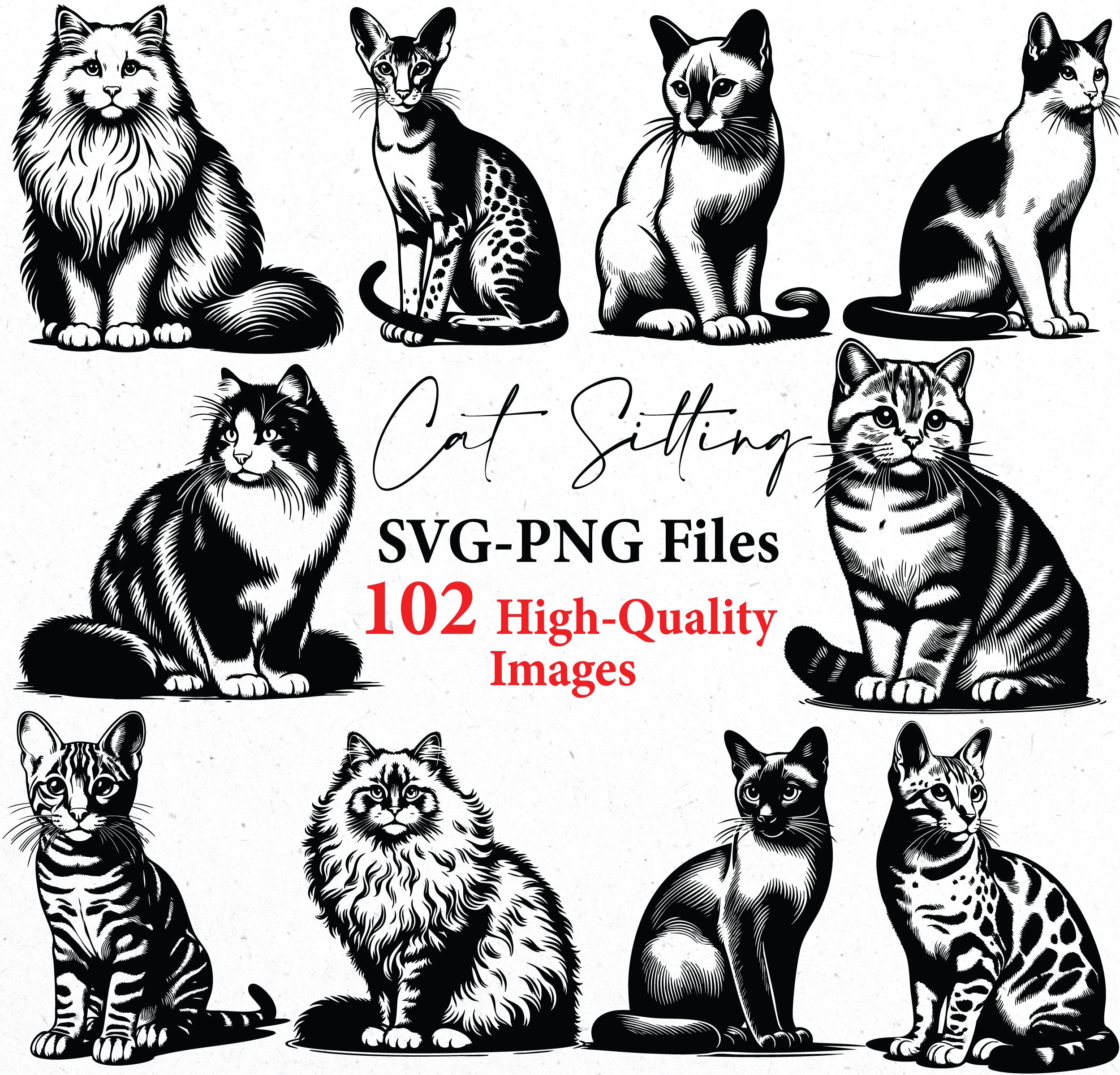 Cat Svg, Cat Sitting Svg, Cat Png, Svg Bundle, Svg Files, Svg Cricut ...