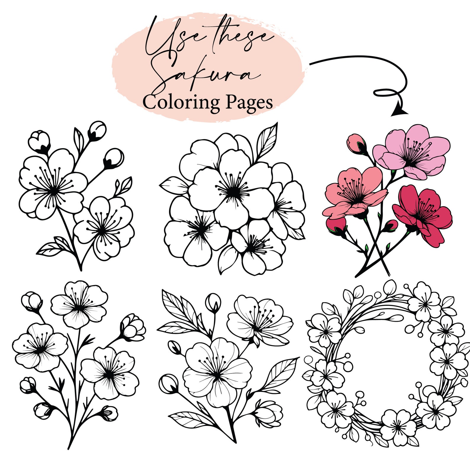 Cherry Blossom, SVG Bundle, Sakura Flower SVG, Svg Cricut, Svg Cut File ...